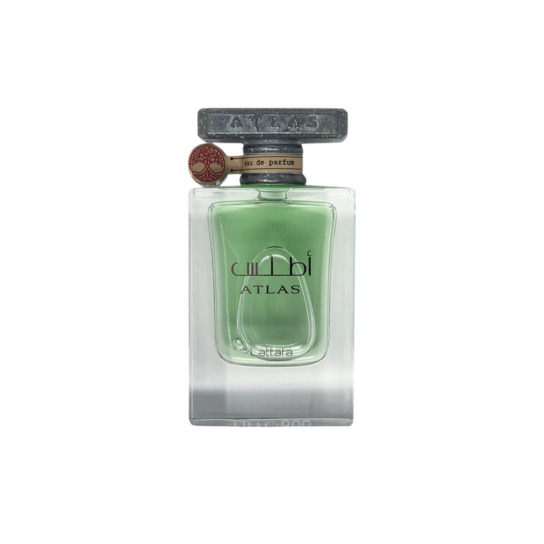 Atlas Parfum 55ML – Esencias Parfums